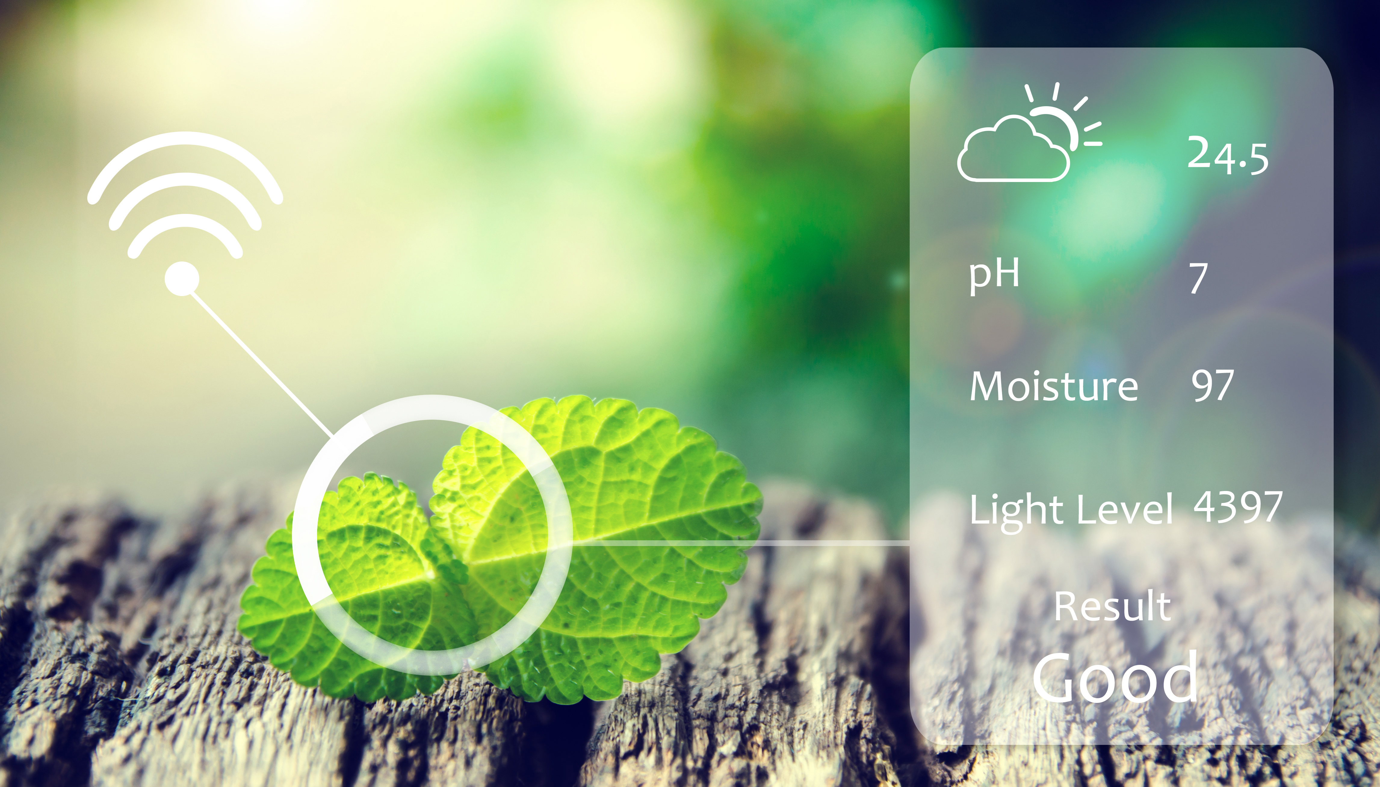 Smart agri-tech solutions to promote innovation | Meteorological ... Smart agri-tech solutions to promote innovation | Meteorological ...