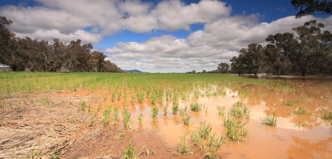 Australia's Bureau of Meteorology completes first phase of Perth ...