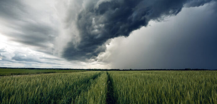 Climavision to provide real-time weather intelligence for Cargill ...