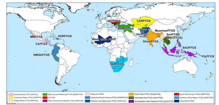 How is the WMO working with its members to build flash flood resilience ...