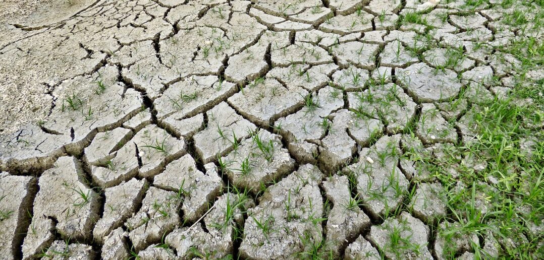 Flash droughts to become more commonplace with warming climate, finds ...