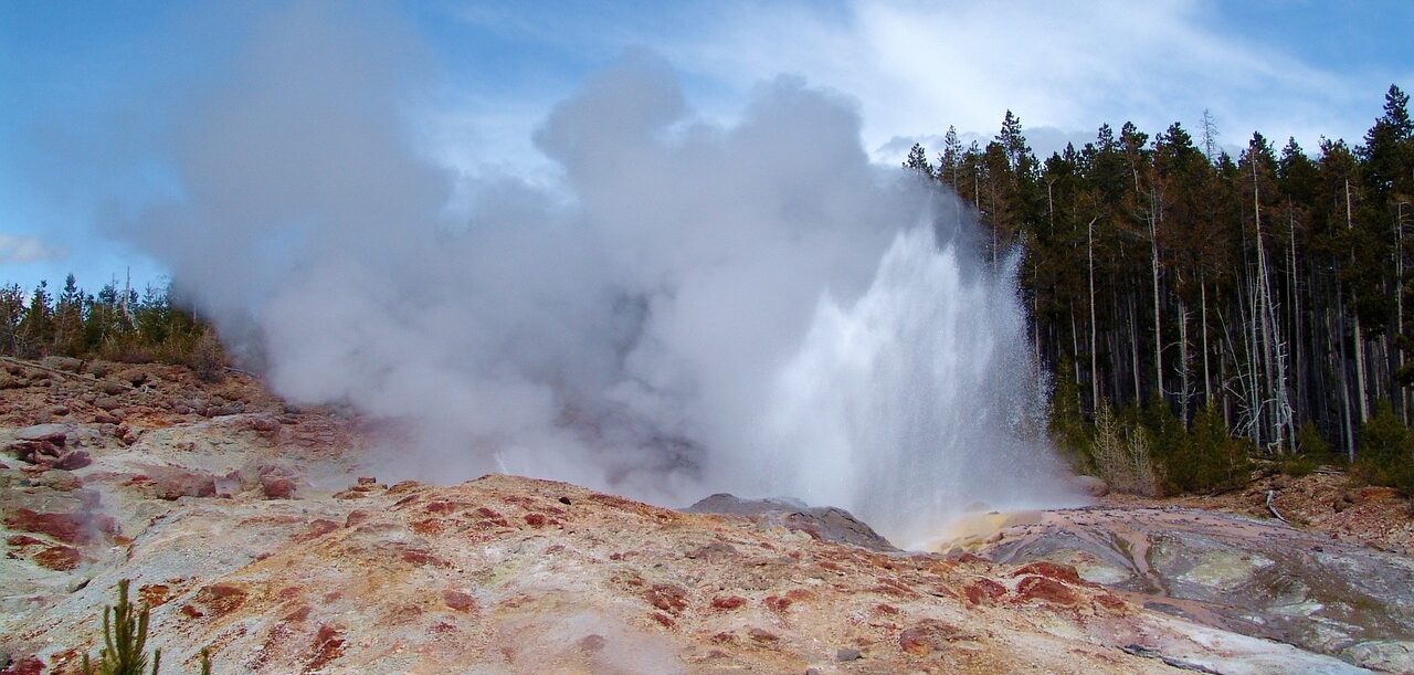 Petrified trees reveal Yellowstone geyser’s battle with drought ...