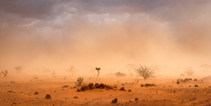 WMO Bulletin highlights hazards and impacts of sand and dust storms ...