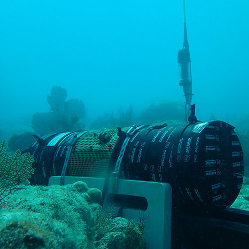 FEATURE: How are NOAA's latest buoys tackling ocean acidification ...